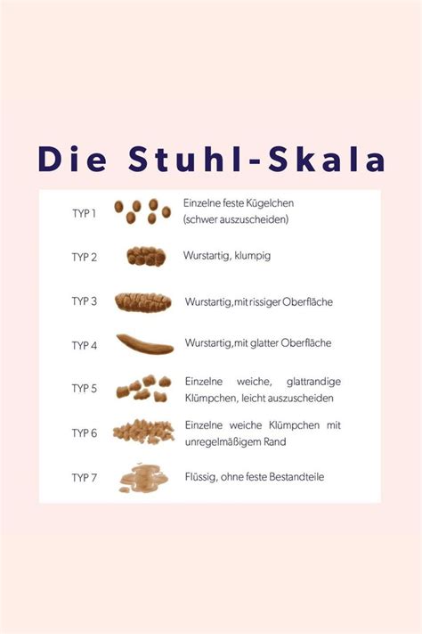 Pin Auf Facts About Gut Health