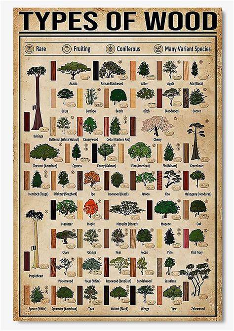 Types Of Wood Woodworking Knowledge Gift For Carpenter Poster High