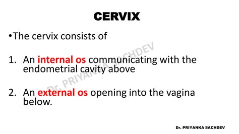 Solution Pathology Of Female Genital System And Breast Studypool