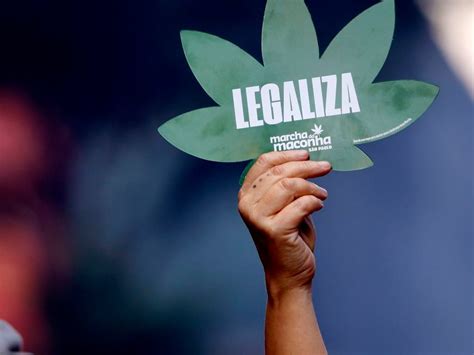 Maioria da população defende a descriminalização da maconha no Brasil