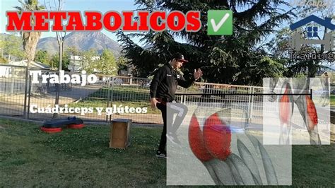 Cardio Progresivo Youtube