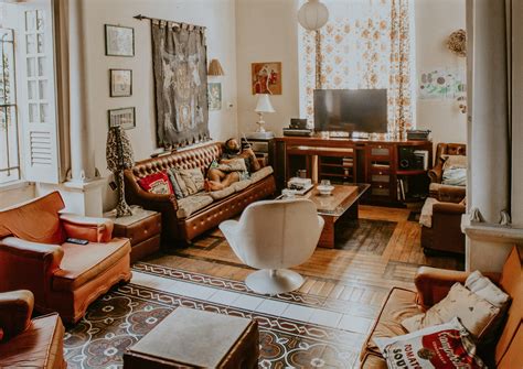 Fácil de suceder Aviación Mascotas ideas faciles para decorar tu casa