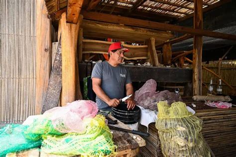 Oaxaca To Puerto Escondido Highway Mexico News Daily
