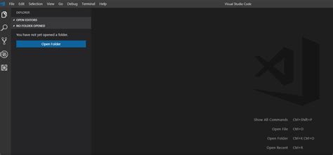 Git VSCode Perforce SOURCE CONTROL No Source Control Providers