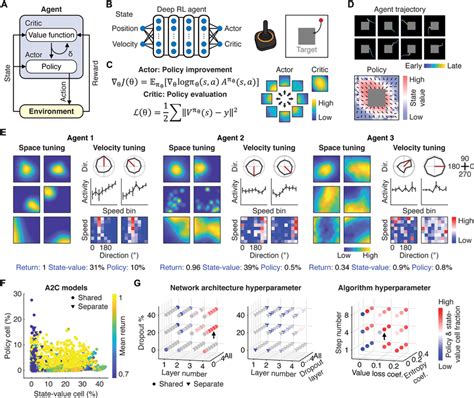 performance optimization and neural representations in deep rl agent download scientific