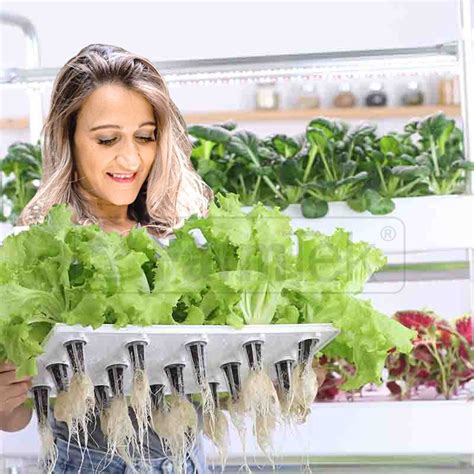 HydroTower Indoor Hydroponic Grow Tower System Kit Built In LED Grow