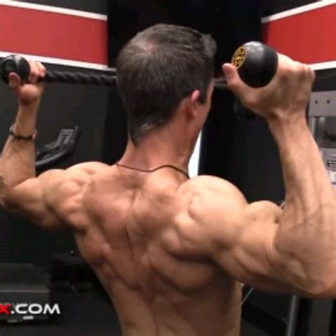 Cable Rope Face Pull By Daniel S Exercise How To Skimble
