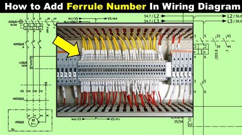 How To Add Ferrule Number In Electrical Wiring Diagram