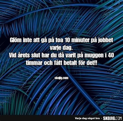 De 28 bästa roliga bilderna Glöm inte 2019 roliga bilderna humör