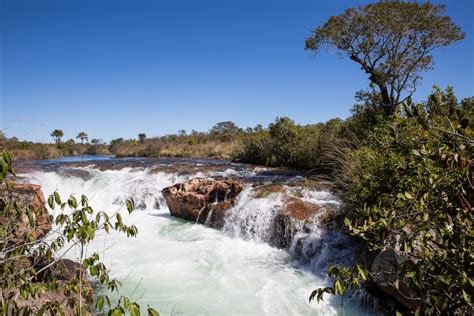 Perda De Reas Midas Do Cerrado Coloca Agricultura Brasileira Em Risco