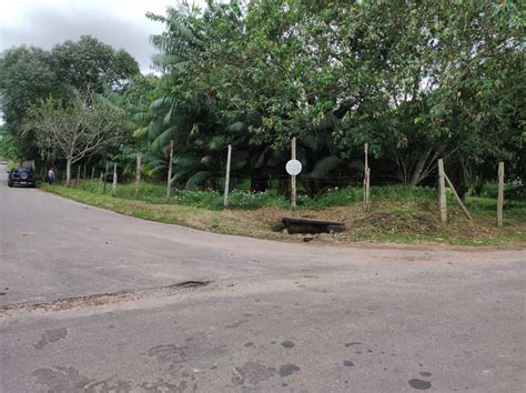 Terreno à venda 5000 m² por RS 450 000 Tarumã Manaus AM Achou