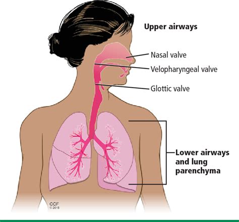 Figure From Copd And Sleep Apnea Table Main Differentiating And