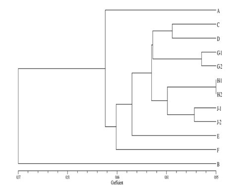 Upgma Clustering For The Maize Inbred Lines And Hybrids Based On
