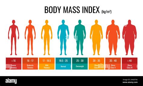 BMI Klassifikationstabelle Messung Man Set Infografik Zum Body Mass