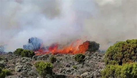 WION Climate Tracker Wildfire Continues On Mount Kilimanjaro World News