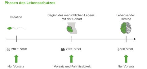 Totschlag Stgb E Learning Mit Lecturio