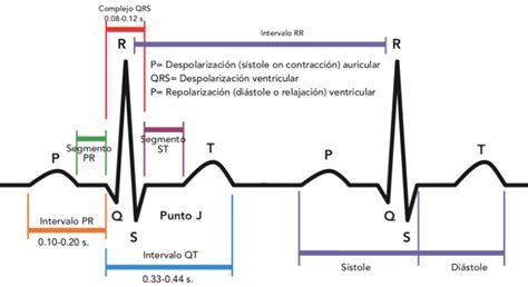 Electrocardiograma con sus ondas intervalos segmentos y su relación