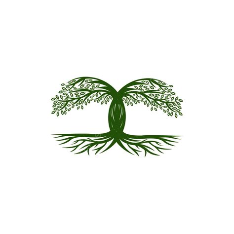 Oak Tree Roots Silhouette Vector PNG Tree And Root Logo Template Bio