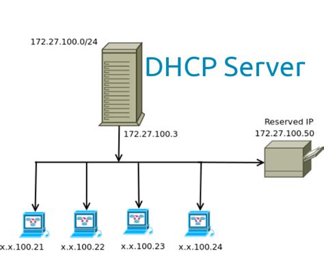 Apa Itu DHCP Server Kenali Fungsi Dan Cara Kerja DHCP Server SoPasti