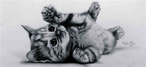 Draw A Realistic Part Fur And Details Leontine Drawn Easy Pencil In