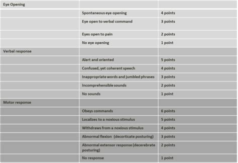 Clinical Medicine Exam 4 NEUROLOGY Flashcards Quizlet