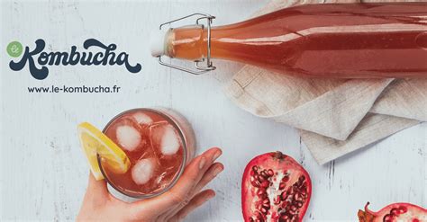 La Boutique En Ligne Le Kombucha Fr