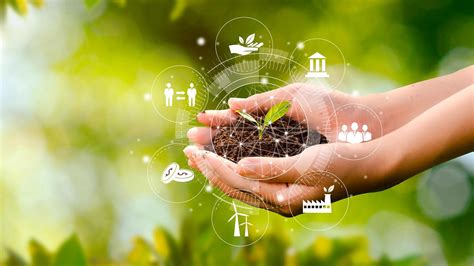 La gestión ambiental La gestión ambiental