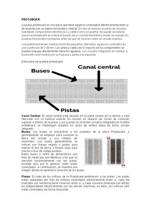 Organizador Gráfico Mapa Conceptual Orgánico Lila SEMANA SEMANA