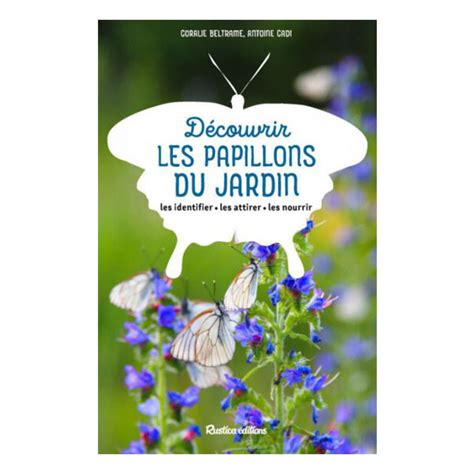 Découvrir les papillons du jardin Terre Nature