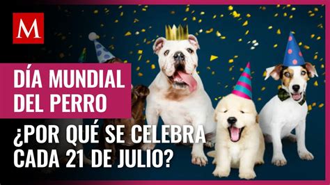 Día Mundial del Perro Por qué se celebra cada 21 de julio YouTube