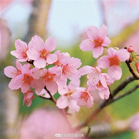 永泰县月洲村