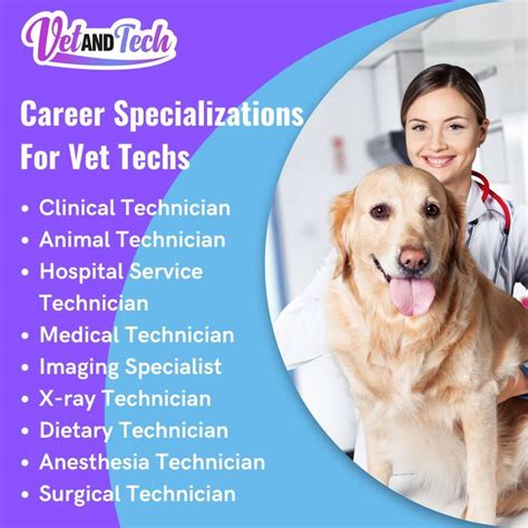 Types Of Vet Tech Careers That You May Choose In Vet Tech Vet