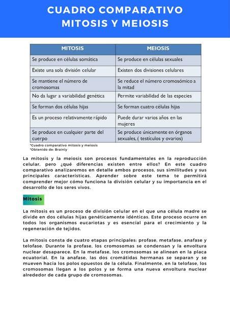 Cuadro Comparativo Mitosis Y Meiosis Facilitando Tu Estudio UDocz