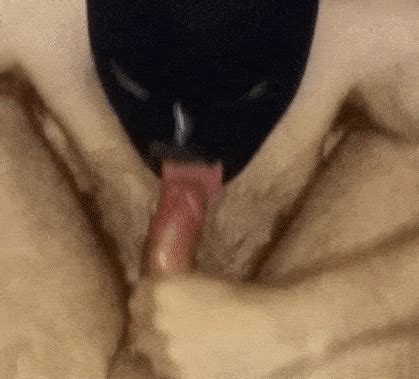 New Selfsuck Autofellatio Self Suck Gifs 3 Pics XHamster