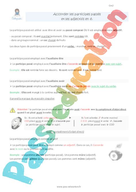 Leçon trace écrite cours Accord du participe passé CM2 pdf gratuit