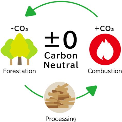 Woody Biomass Utilization Decarbonization Example YAZAKI Energy