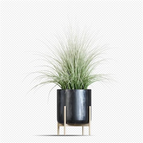 Planta isométrica en maceta decorativa en renderizado 3d Archivo PSD