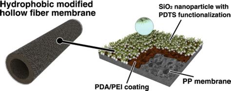 Superhydrophobic Membranes Via Facile Bio Inspired Mineralization For