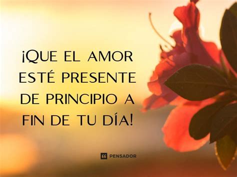 Las mejores 151 frases de buenos días con reflexiones Pensador