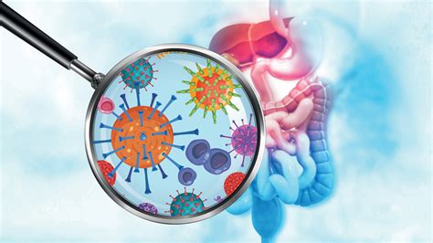 Cuidado Con El Sobrecrecimiento Bacteriano Del Intestino Delgado