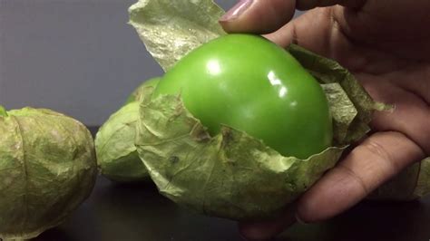 El Tomate Verde Y Sus Propiedades Youtube