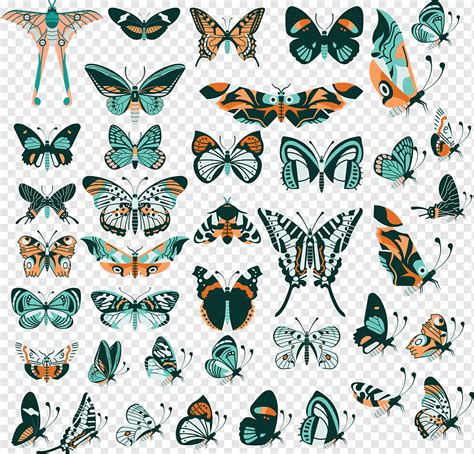 Diagrama De Mariposa Png Im Genes Pngwing The Best Porn Website