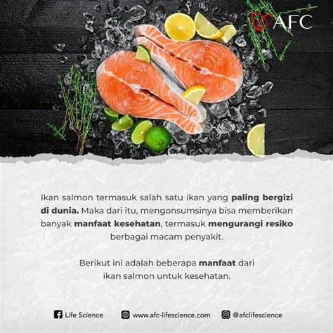 Manfaat Ikan Salmon