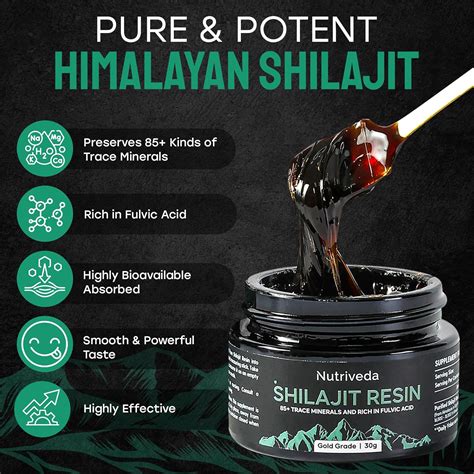 Shilajit Resina de 600 mg Shilajit orgánico puro del Himalaya de grado