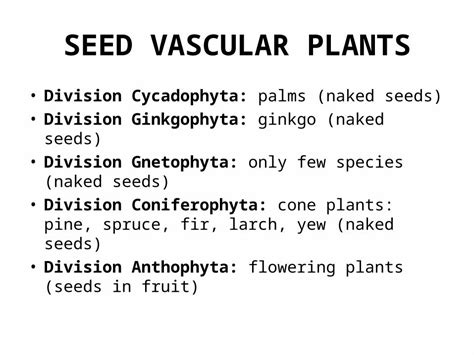 PPT SEED VASCULAR PLANTS Division Cycadophyta Palms Naked Seeds