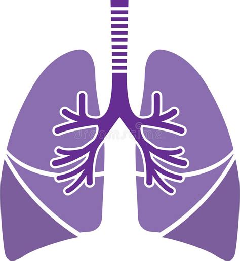 The Lungs In Purple And White Royalty Illustration