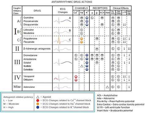 Cardiac Medications List Pdf Orthopedist Webzine Pictures