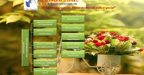 F E FLOWER BEAUTY S R L Organigrama Organisation Chart