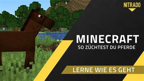 minecraft Pferde züchten zähmen mehr nitrado tutorial YouTube