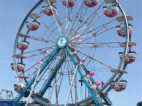 Volunteers Needed To Help With 2022 Last Fling In Naperville